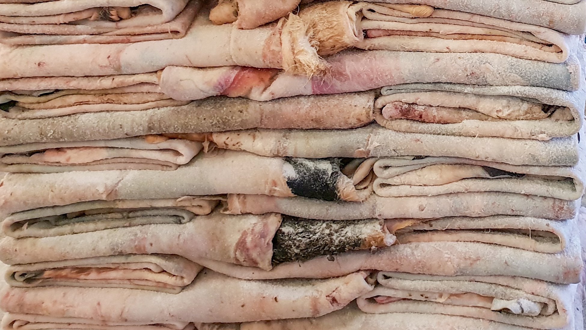 The processing process of bovine hides - Smarthides